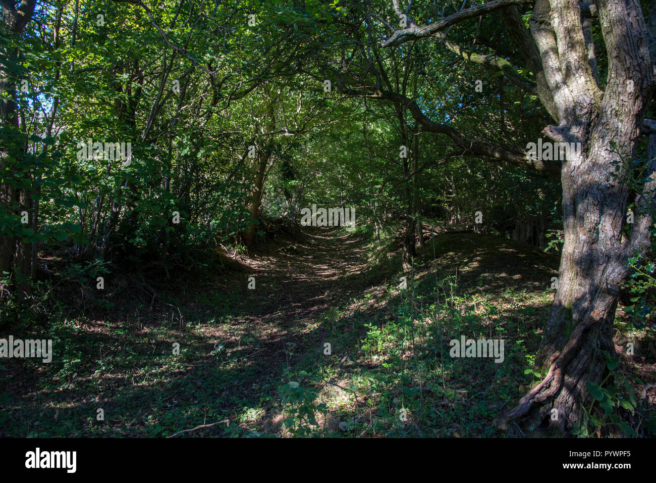 Ancient trackways and footpaths. Herefordshire UK 2018 Near Longtown ...