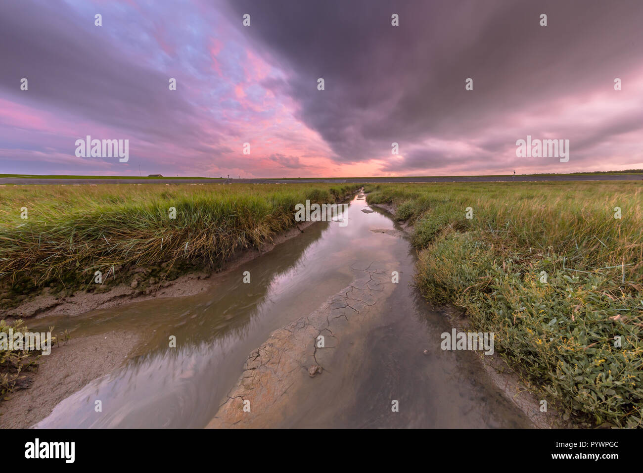 Sunset over tidal creek in tidal wetland at Waddensea, Friesland ...