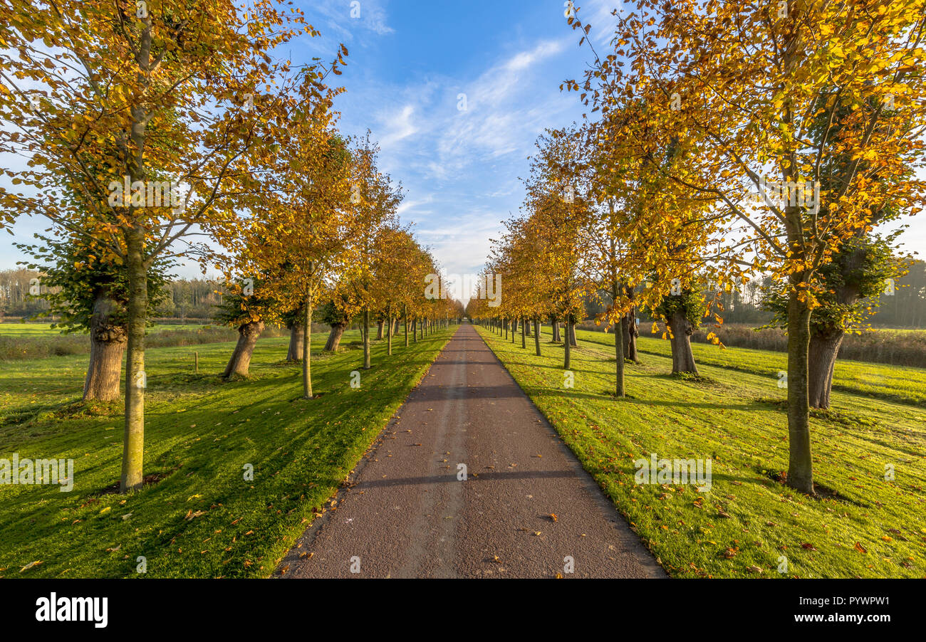 Golden lane estate hi-res stock photography and images - Alamy