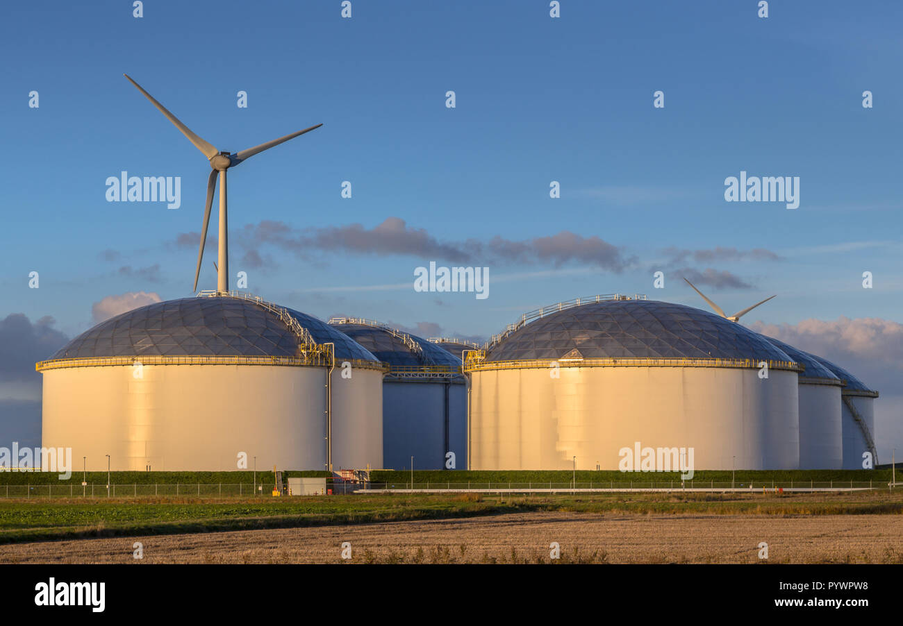 Giant modern oil storage tanks in an industrial harbor area with blue ...