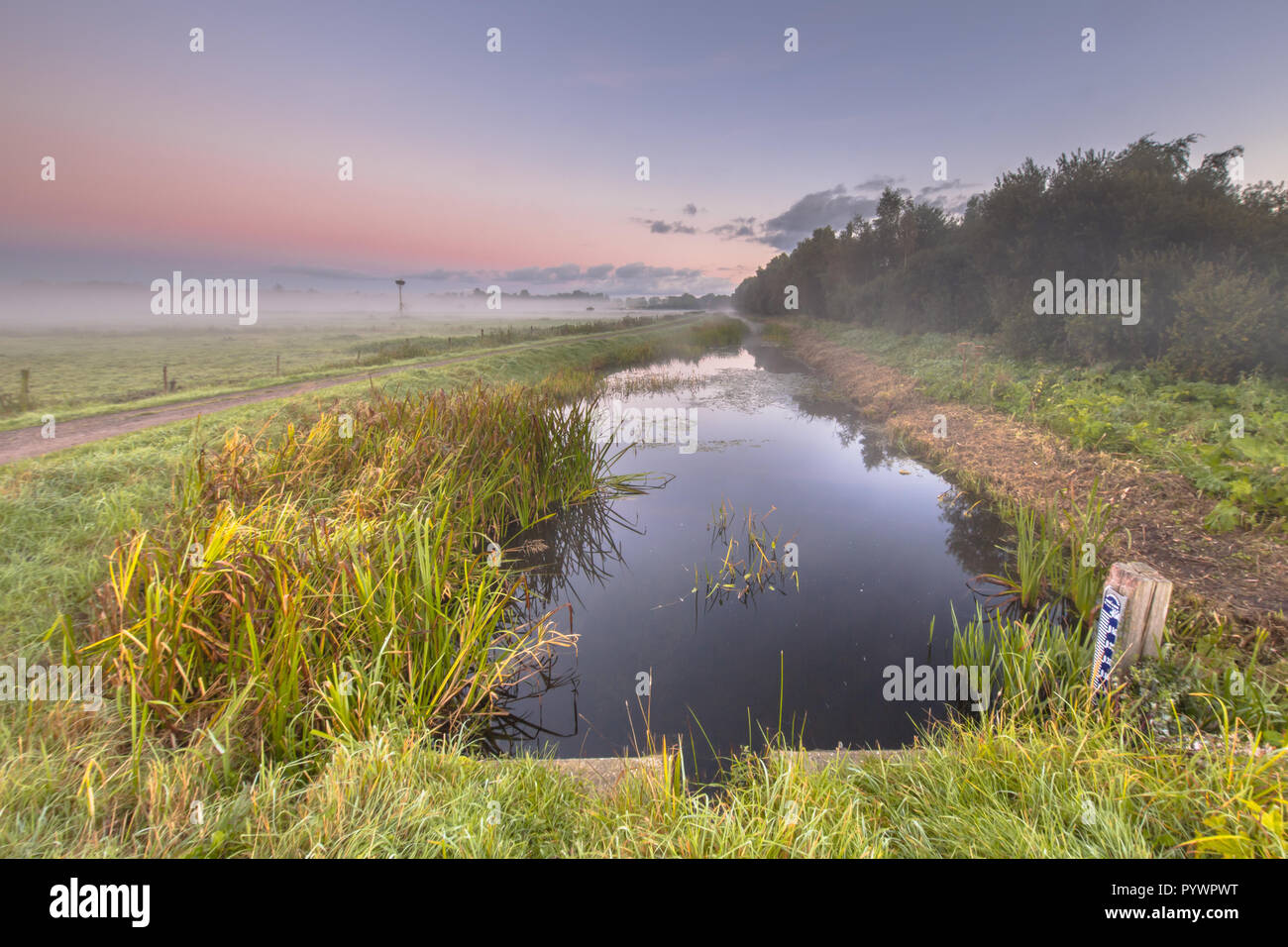 Body measuring ruler hi-res stock photography and images - Alamy
