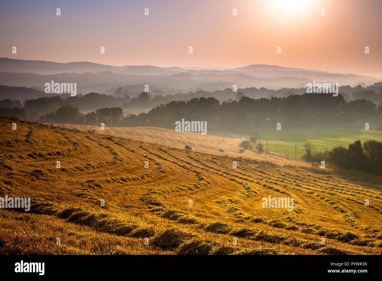 Hilly farmland hi-res stock photography and images - Alamy