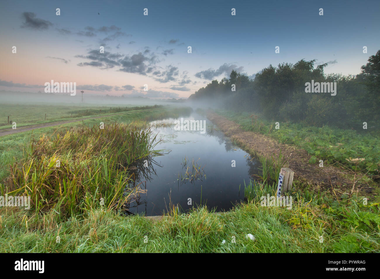 Body measuring ruler hi-res stock photography and images - Alamy