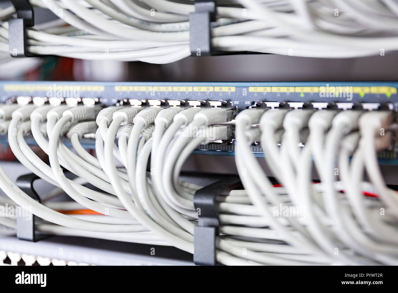 Highspeed network switch and perfect aligned patch cables in datacenter ...