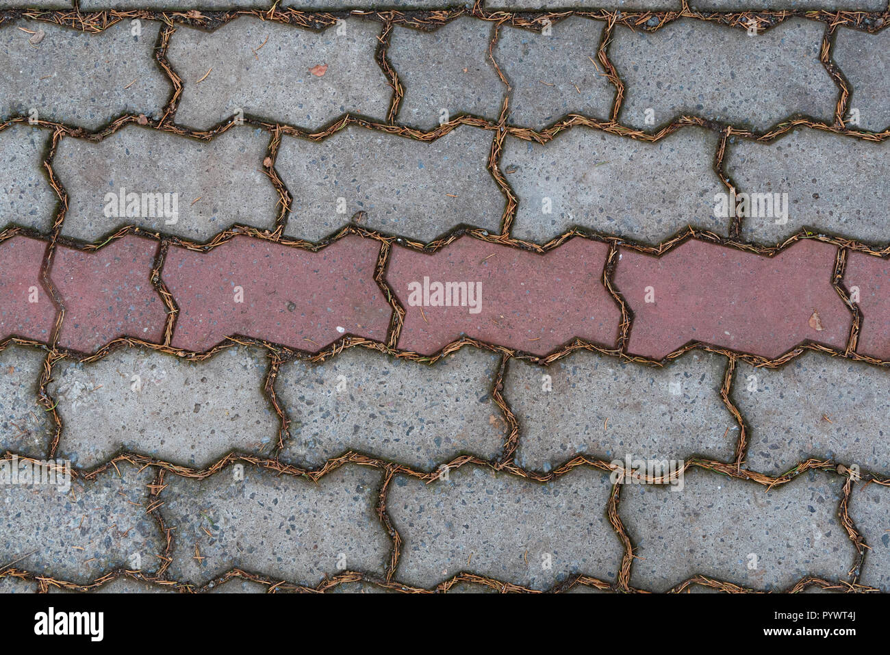 close up of paving stones symmetrical shape. red line in the middle of ...