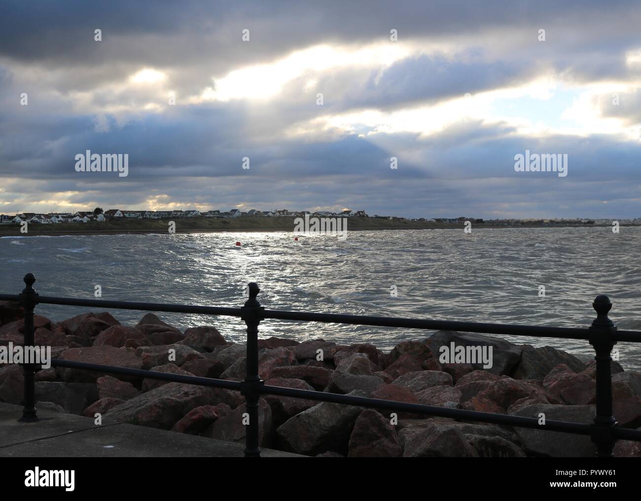 Autumn sea gull windy hi-res stock photography and images - Alamy