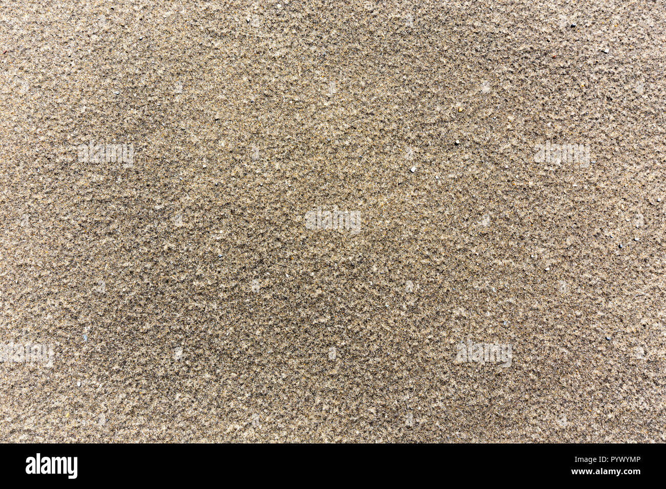 Dark Beach Sand Texture