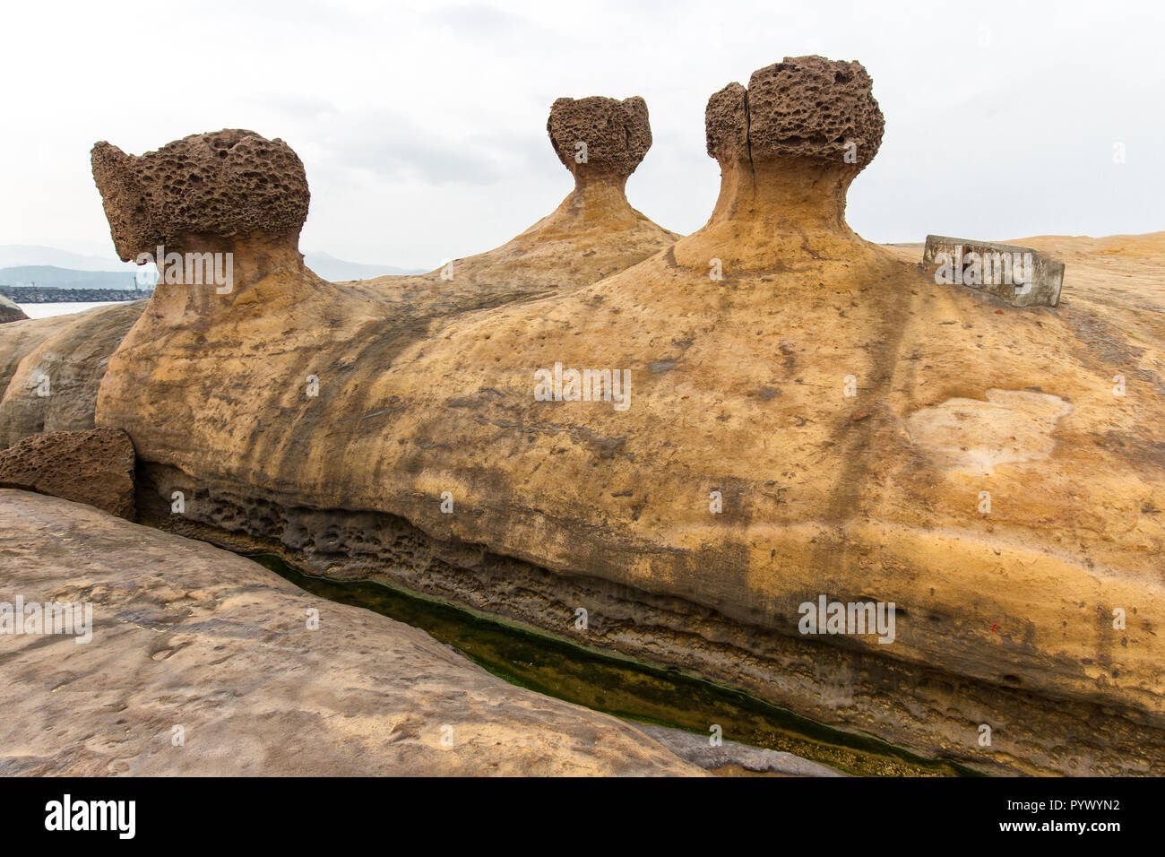Amazing geologic natural sandstone formation at the Yehliu geopark ...