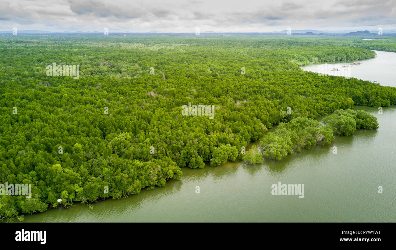 Burma rainforest aerial view hi-res stock photography and images - Alamy