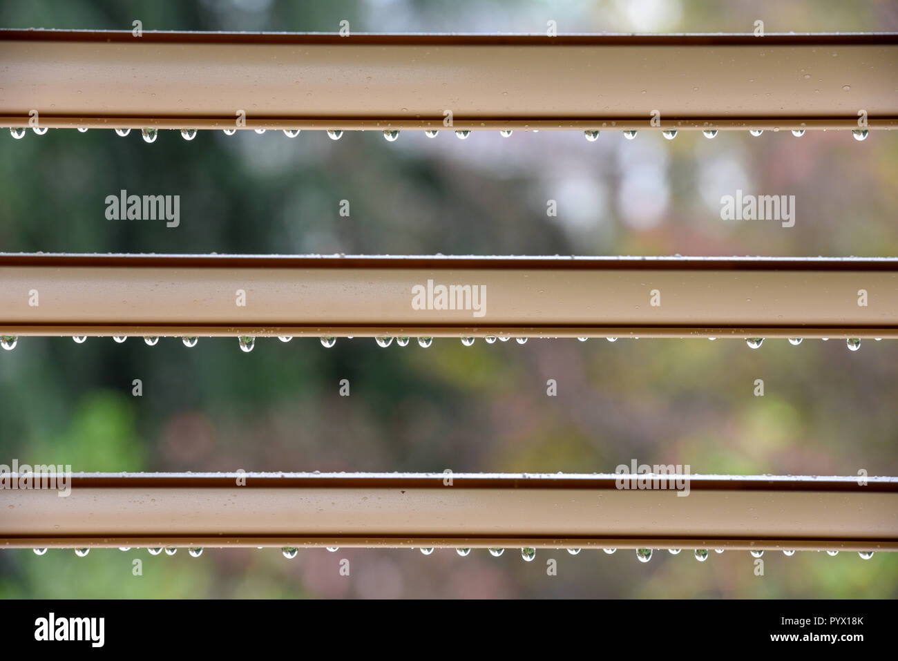 Raindrop perspective hi-res stock photography and images - Alamy