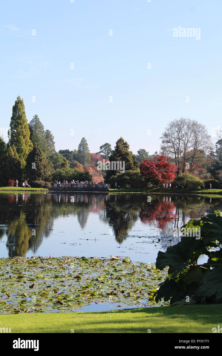 Sheffield forest sussex hi-res stock photography and images - Alamy