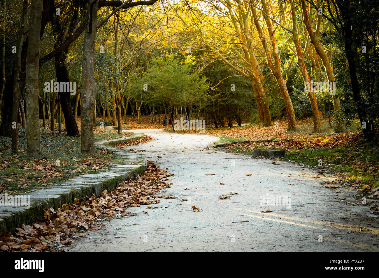 Curved path in park landscape hi-res stock photography and images - Alamy