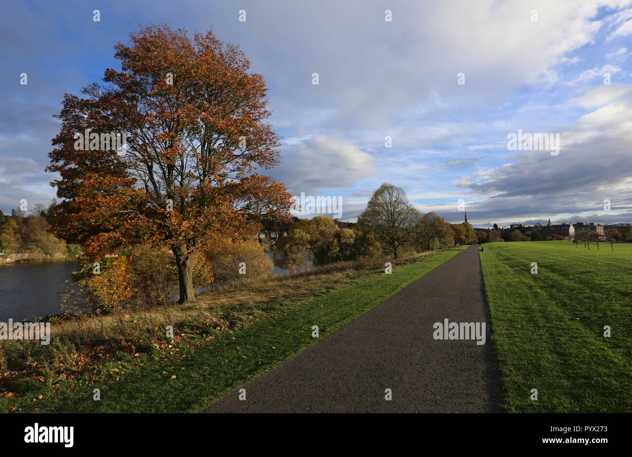 Perth Scotland Park High Resolution Stock Photography and Images - Alamy