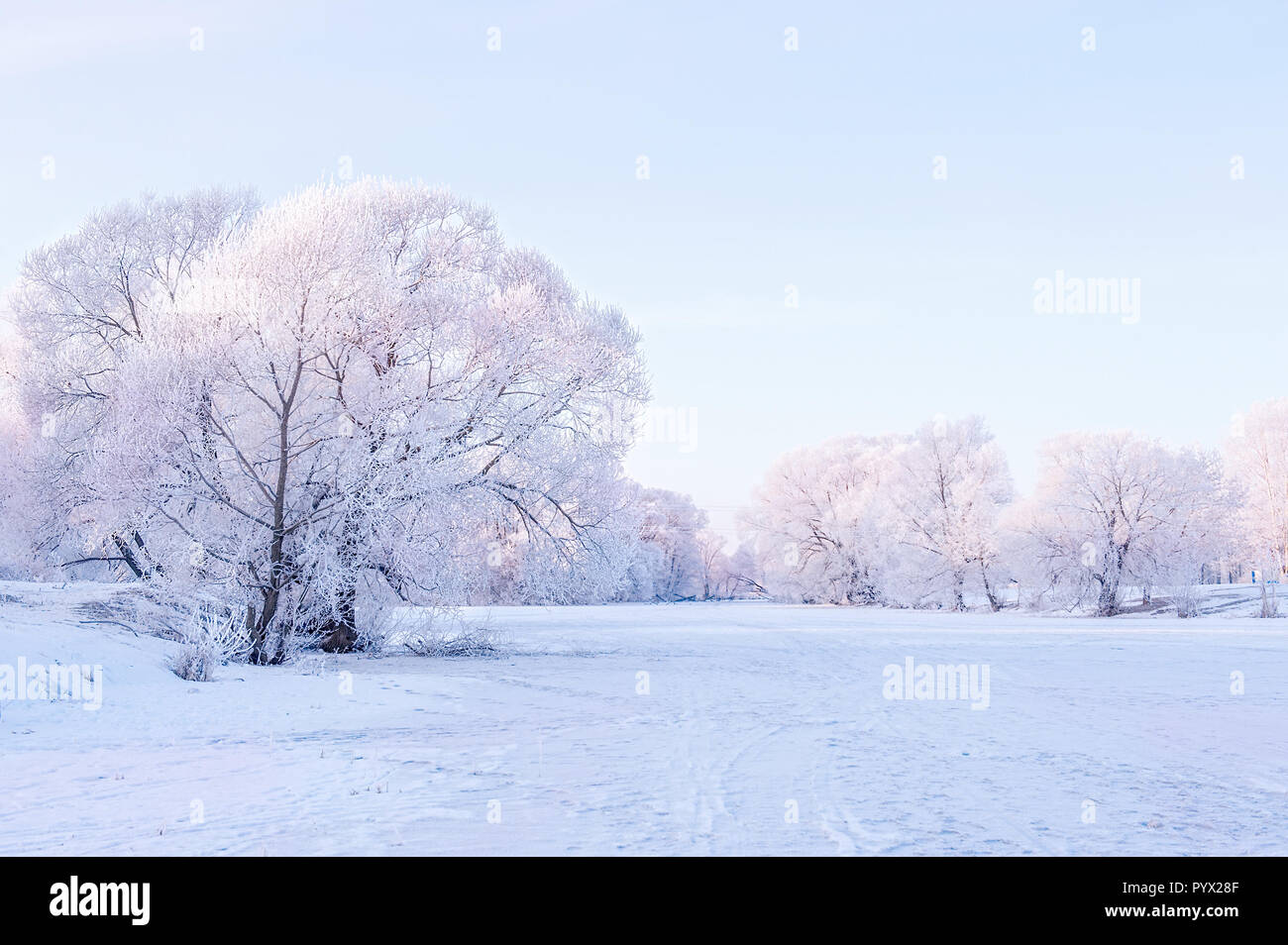 Christmas Tumblr Snow