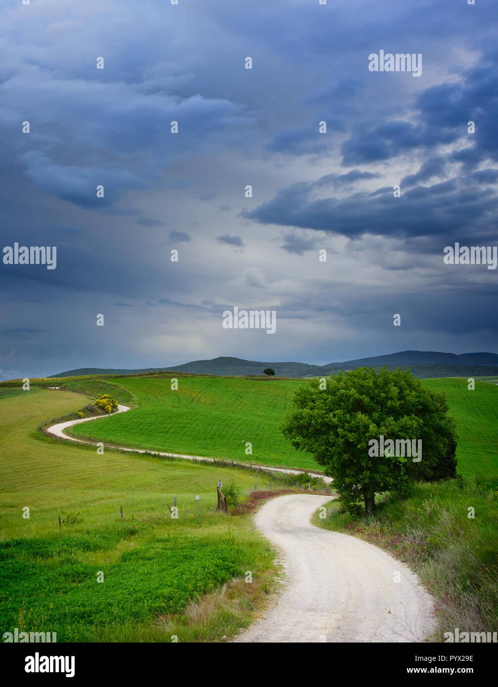 Strade bianche hi-res stock photography and images - Alamy