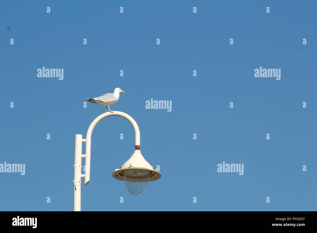 Lamp post by the water hi-res stock photography and images - Alamy