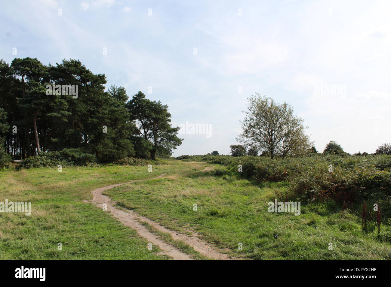 100 acre wood milne hi-res stock photography and images - Alamy