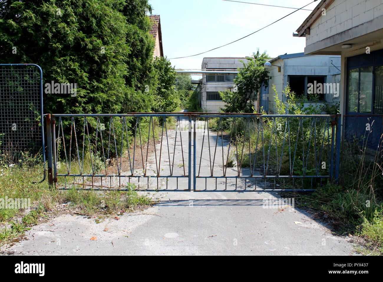 Overgrown driveway hi-res stock photography and images - Alamy
