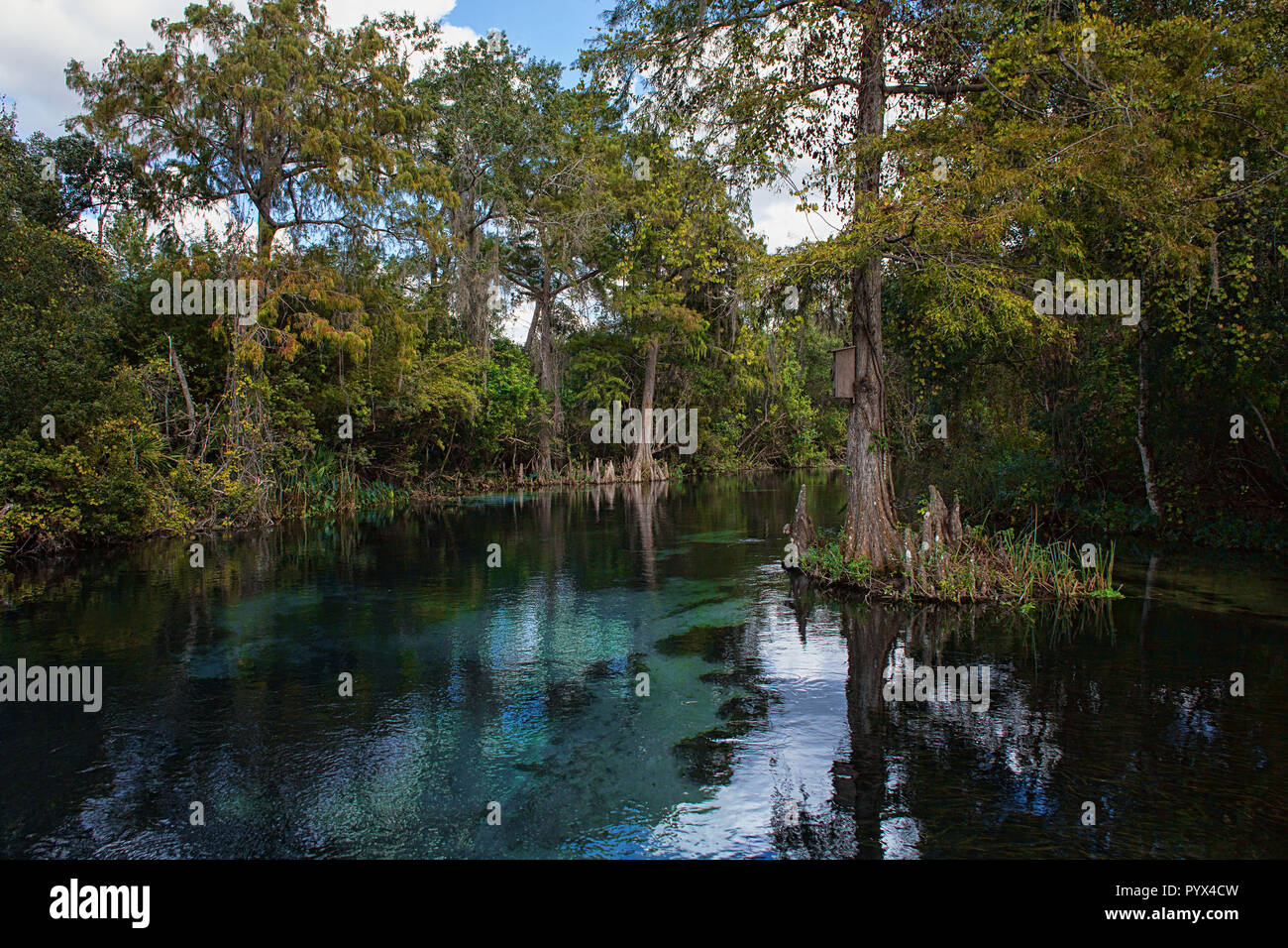Boating natural springs hi-res stock photography and images - Alamy