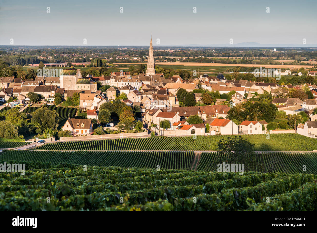 Meursault, Burgundy, France, Europe Stock Photo - Alamy