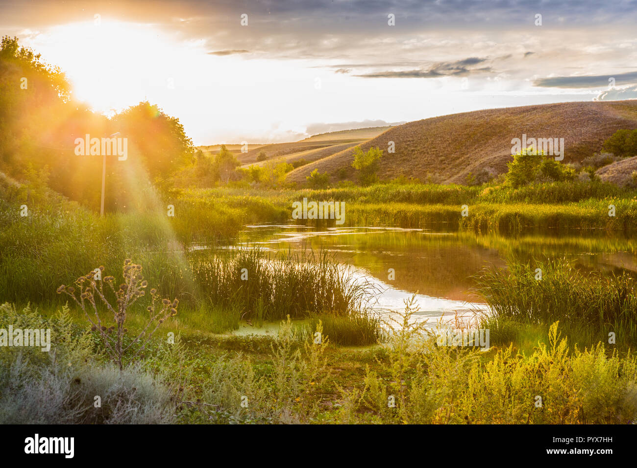 Volga river coast beautiful hi-res stock photography and images - Alamy