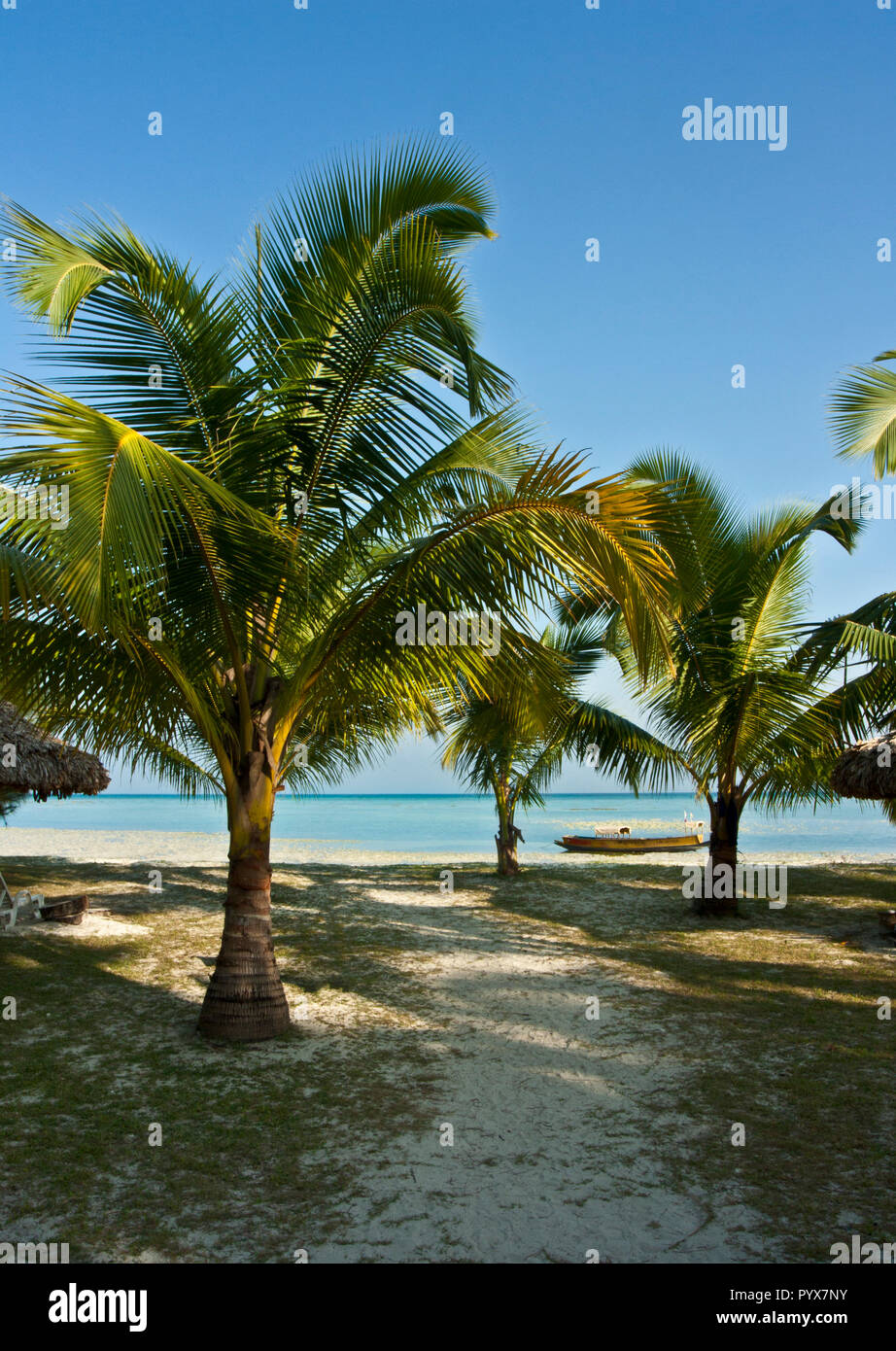 Shady beach at sunset on Andaman Islands, India Stock Photo - Alamy