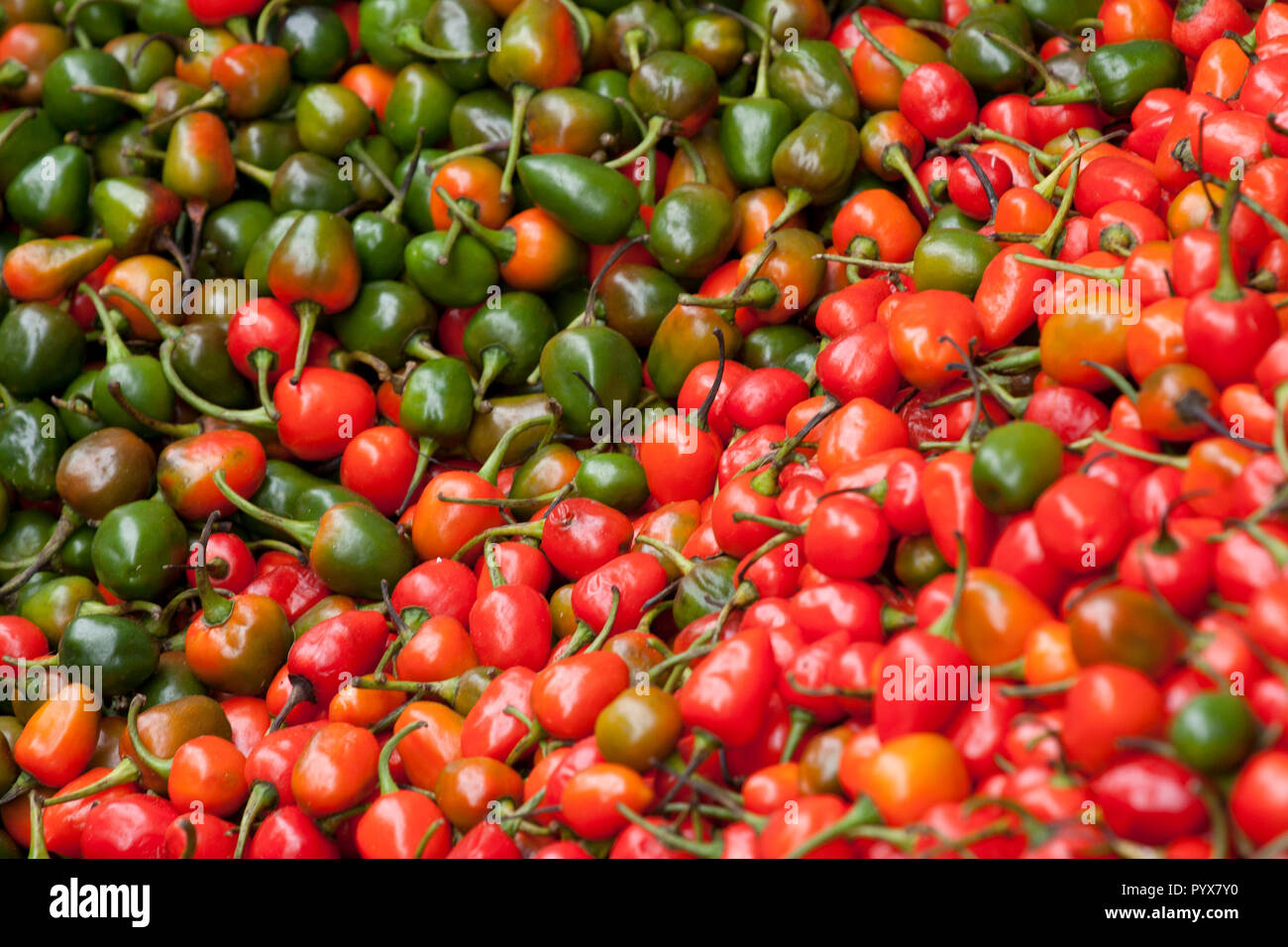Small red and green chilli peppers Stock Photo - Alamy