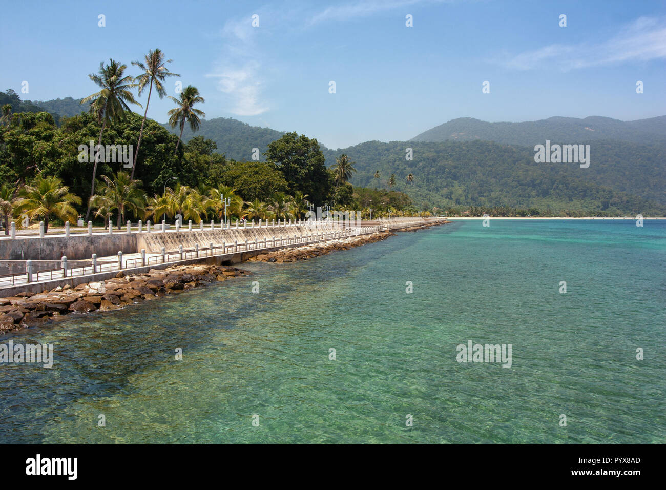 Jungle tioman island hi-res stock photography and images - Alamy