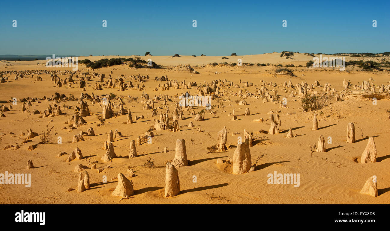 The Pinnacles of Nambung National Park are amazing natural limestone ...