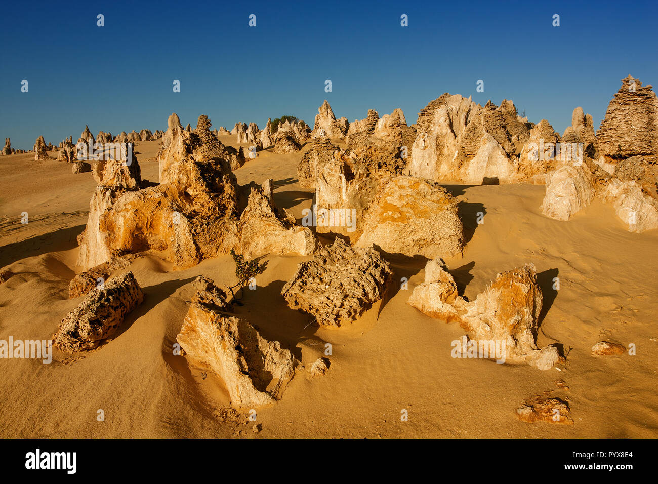 The Pinnacles of Nambung National Park are amazing natural limestone ...