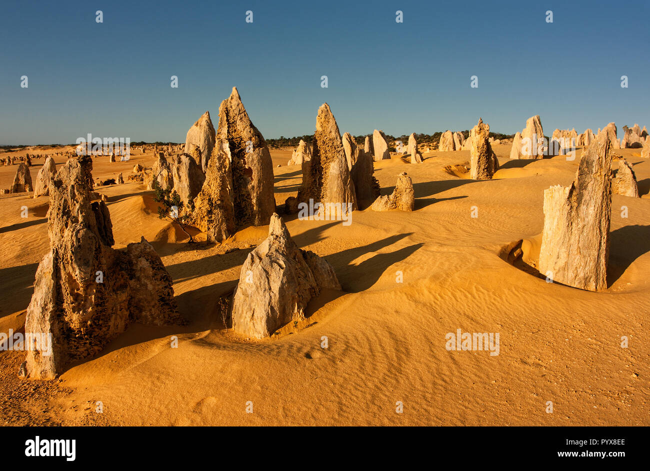 The Pinnacles of Nambung National Park are amazing natural limestone ...
