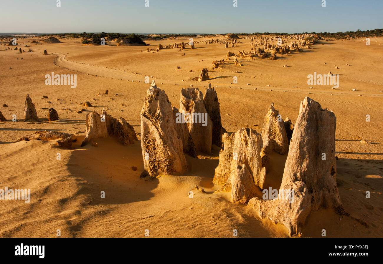 The Pinnacles of Nambung National Park are amazing natural limestone ...