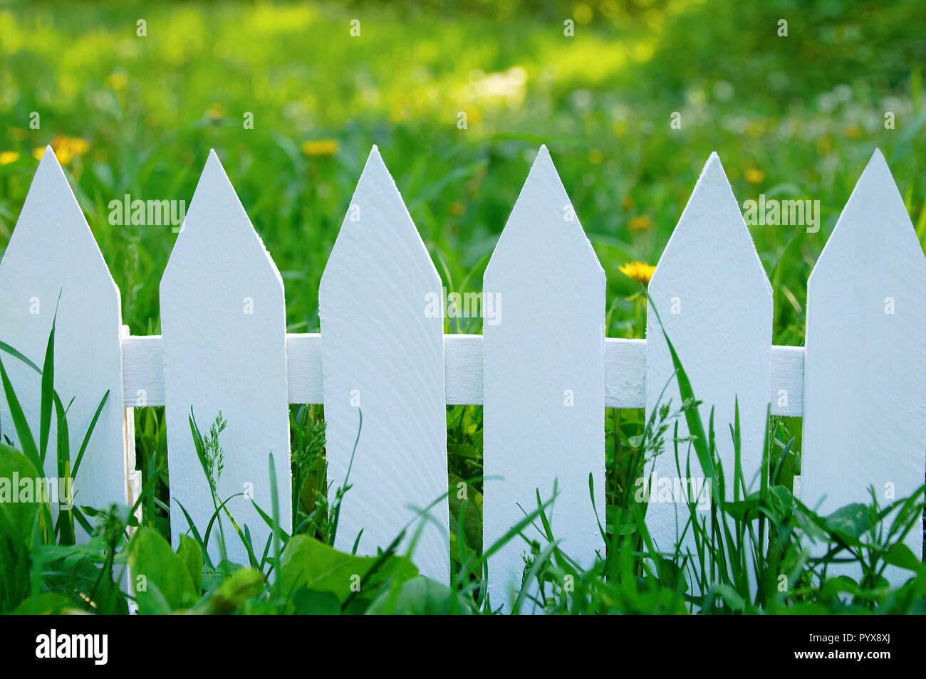White fence on a background of green grass in summer Stock Photo - Alamy