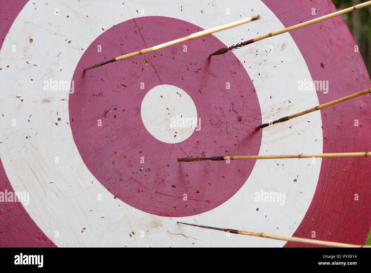 Arrowhead arrow head hi-res stock photography and images - Alamy