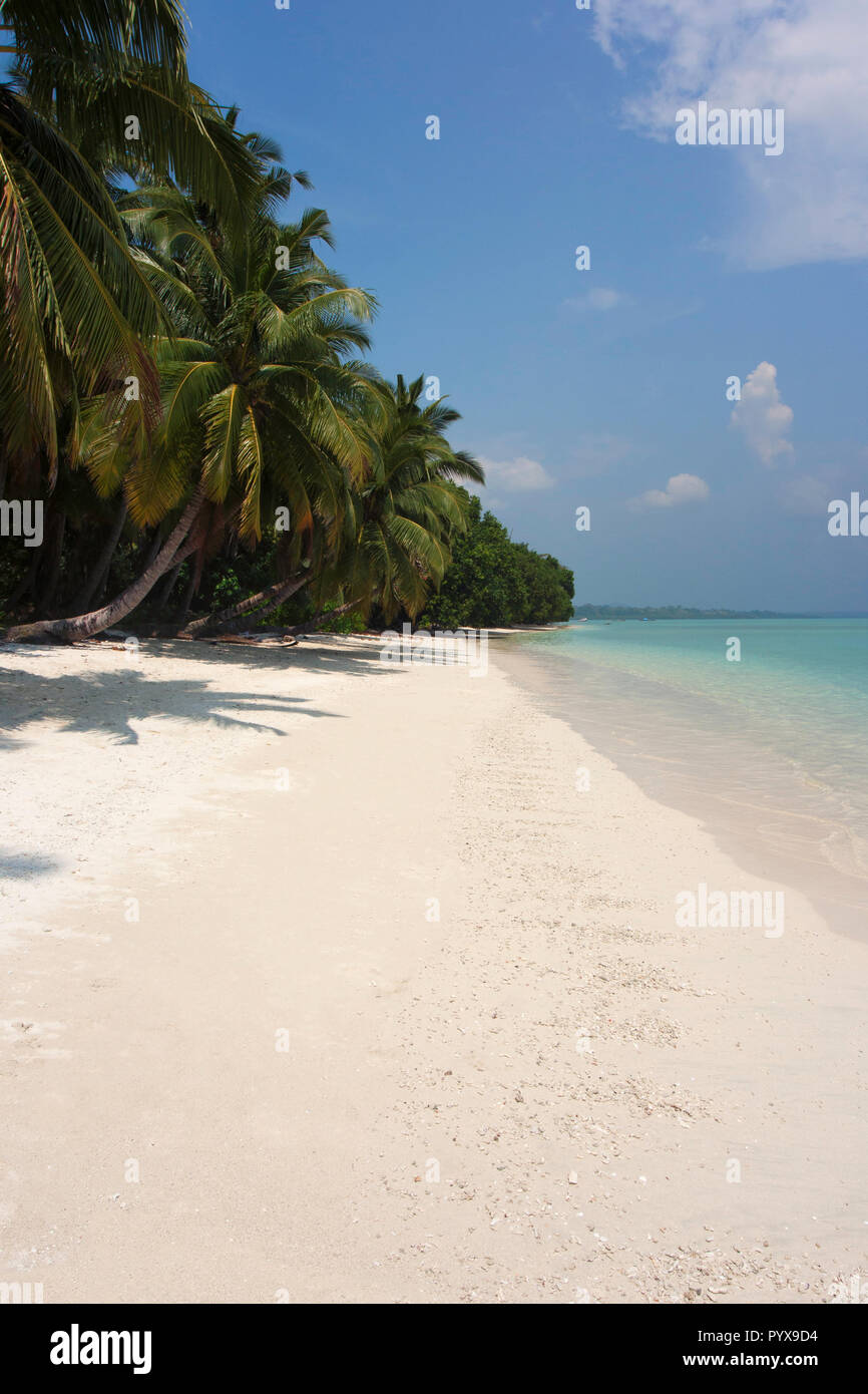 Beach on Havelock Island, Andaman & Nicobar Islands in India Stock ...