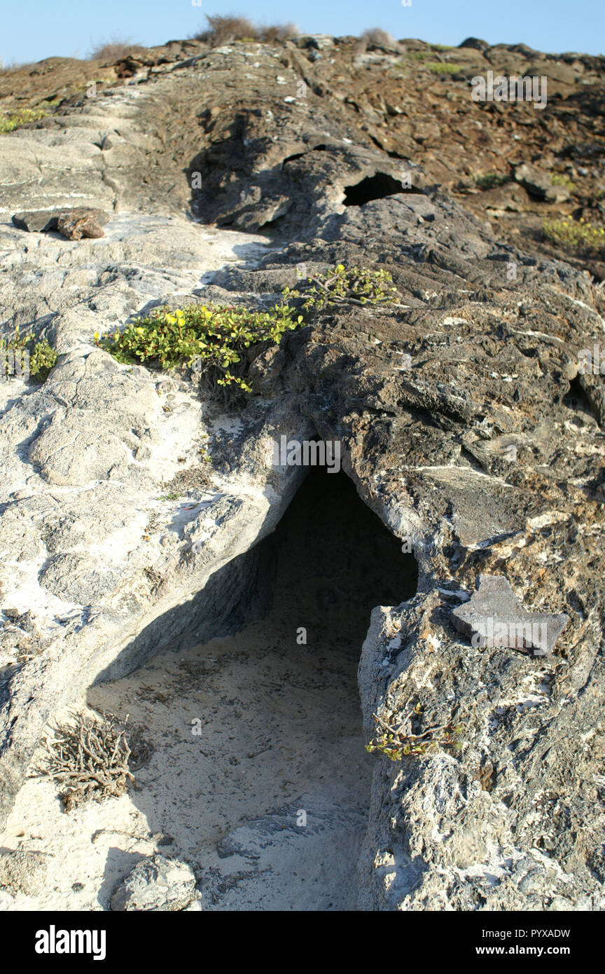 Lava tube galapagos hi-res stock photography and images - Alamy