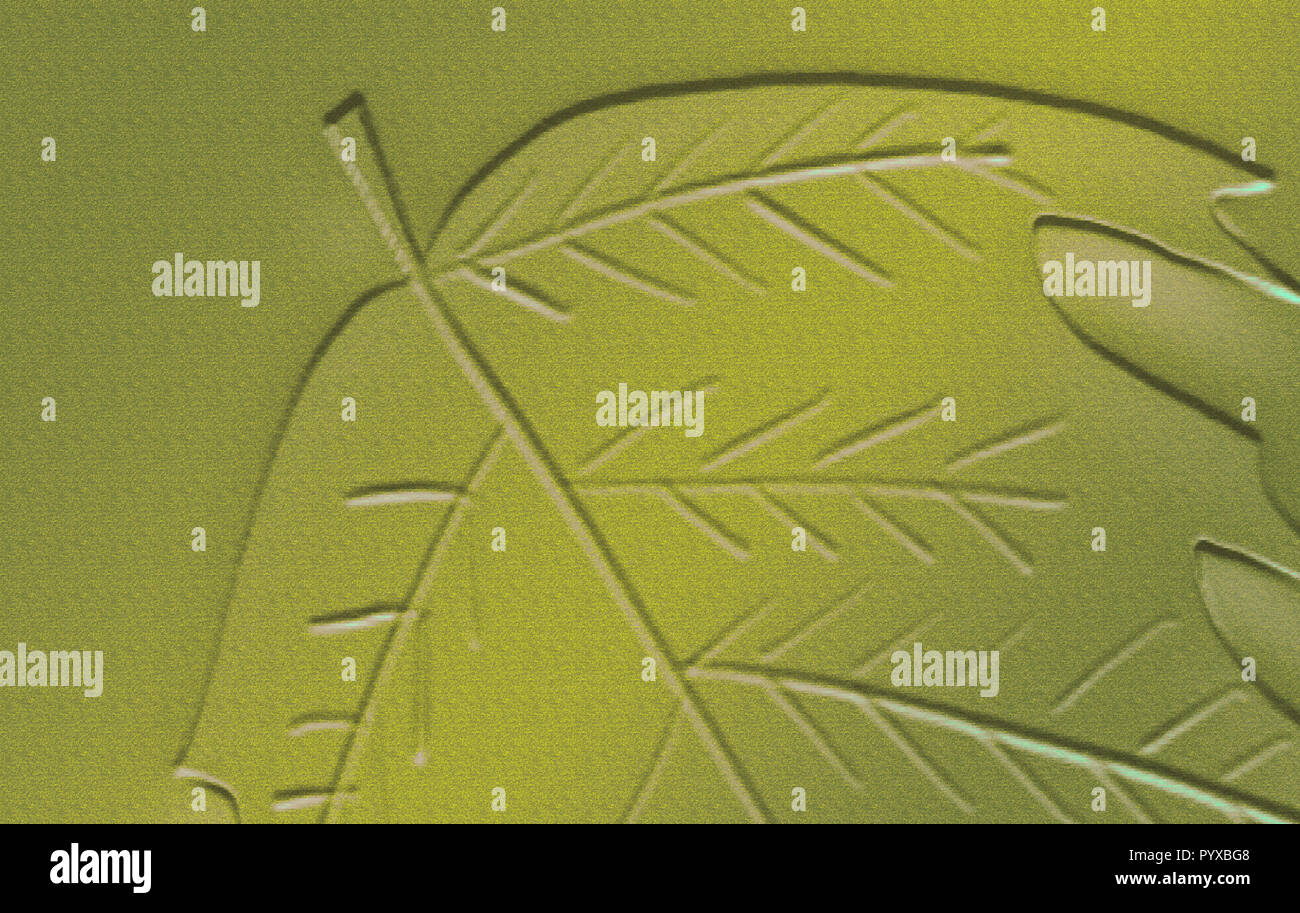 Autumn leaf embossed paper Design for your Next project Stock Photo - Alamy