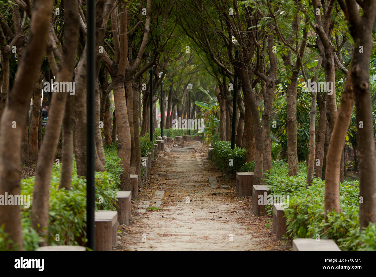 Fengyuan district hi-res stock photography and images - Alamy