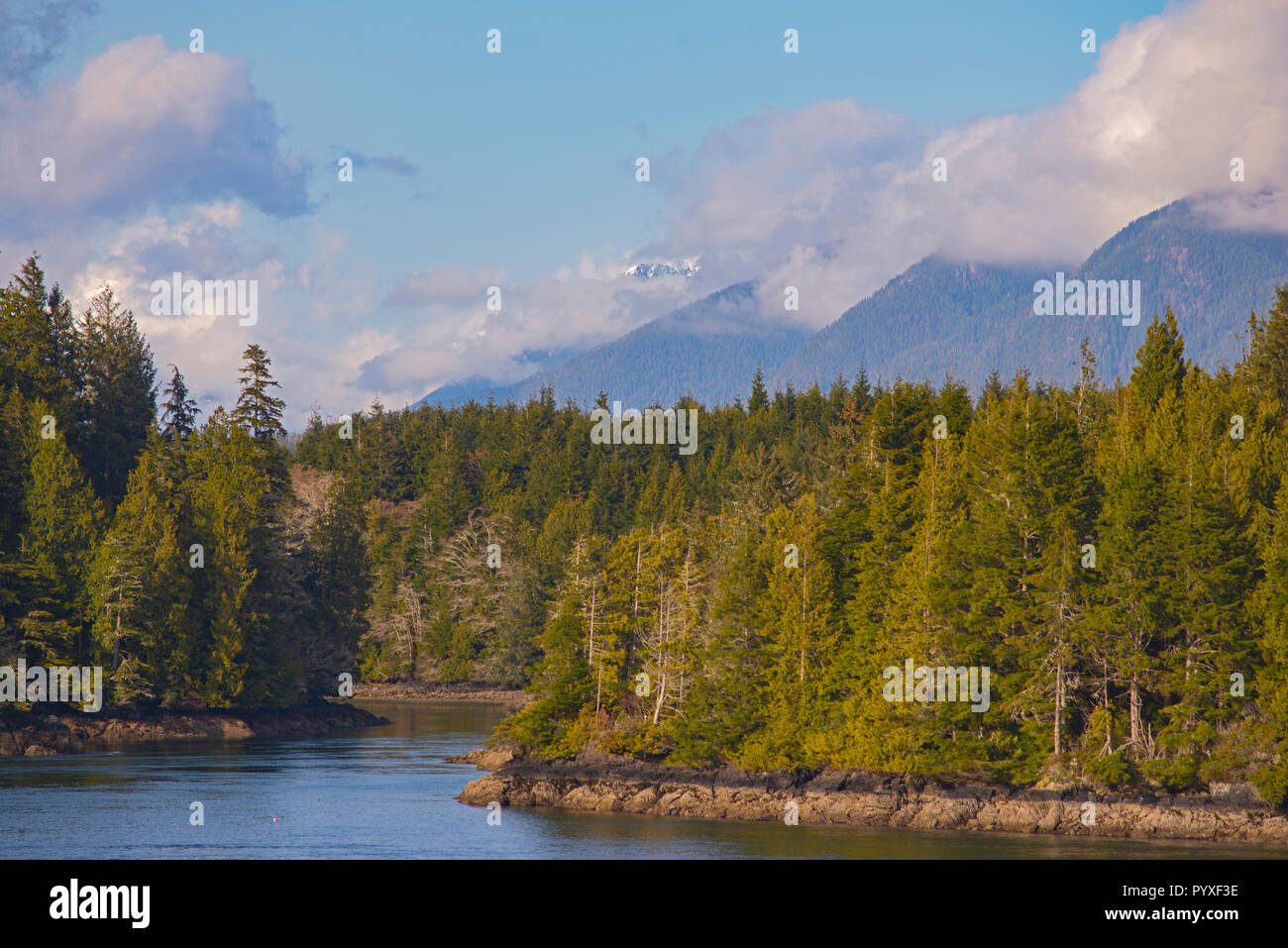 View of the shoreline of Meares Island and hill tops in Tofino ...