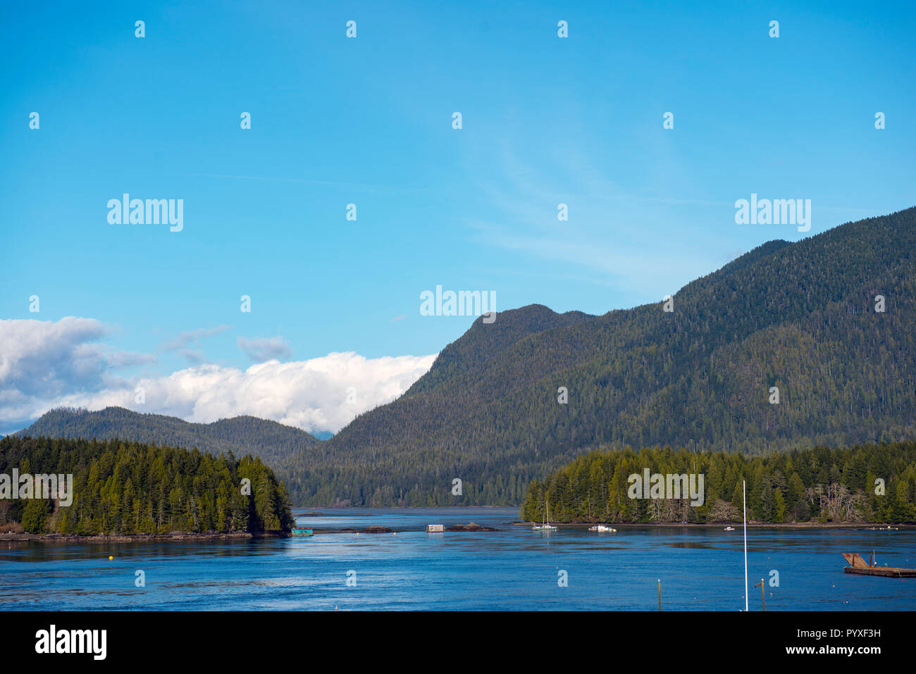View of the shoreline of Meares Island and hill tops in Tofino ...
