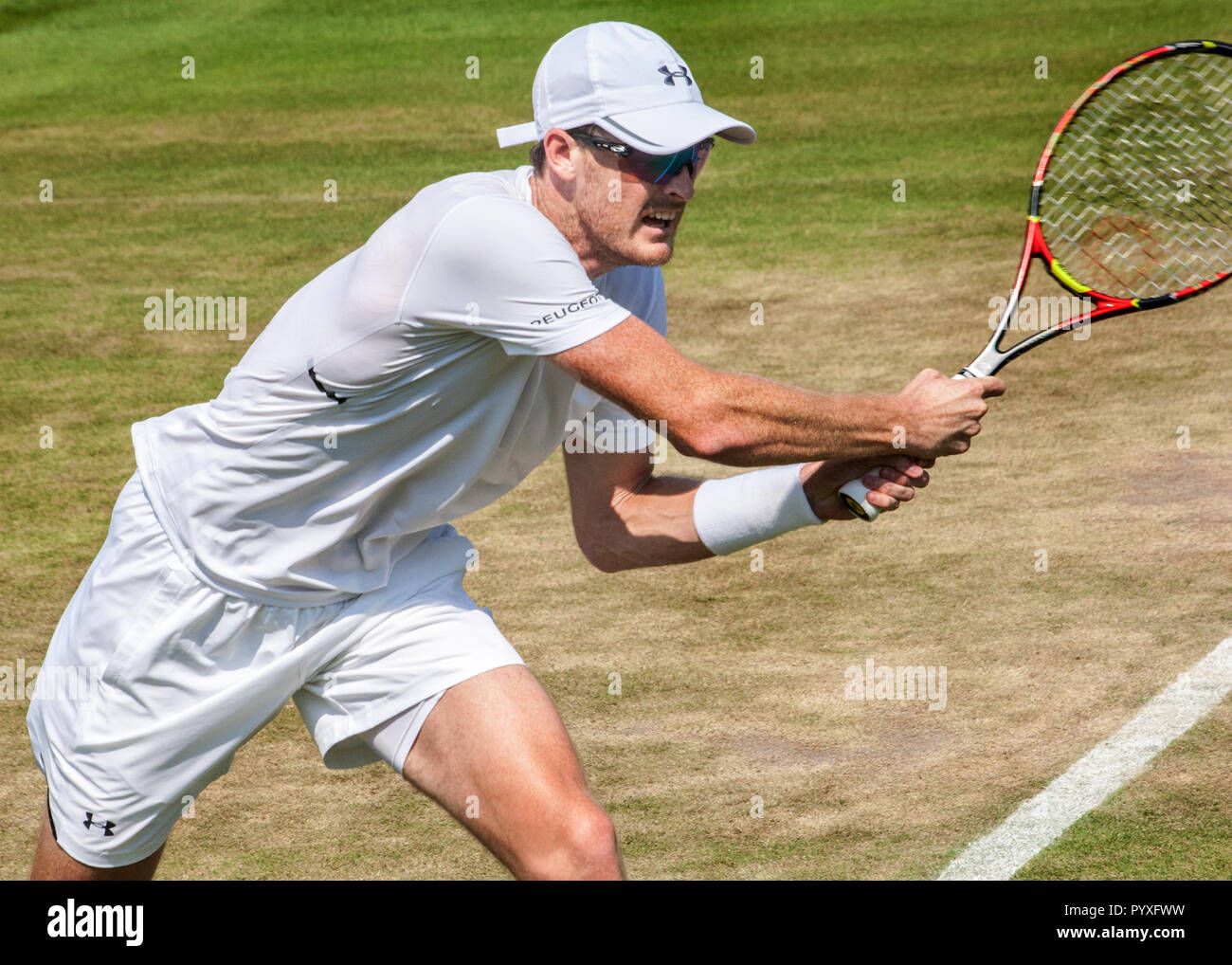 Jaimy Murray wimbledon Stock Photo - Alamy