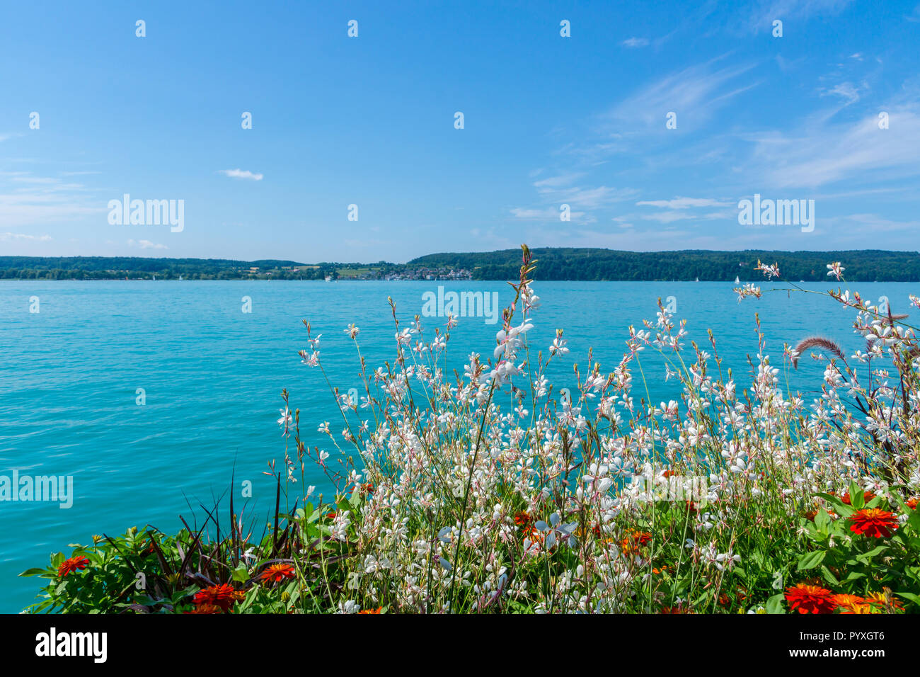 Germany, Many flowers in different color blooming in front of blue lake ...