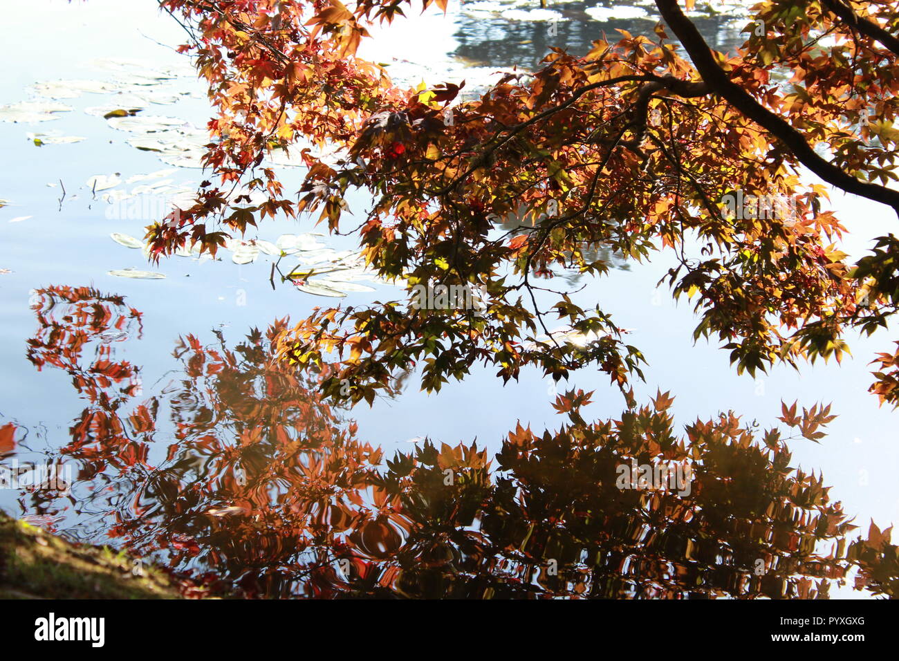 Japanese water colour hi-res stock photography and images - Alamy