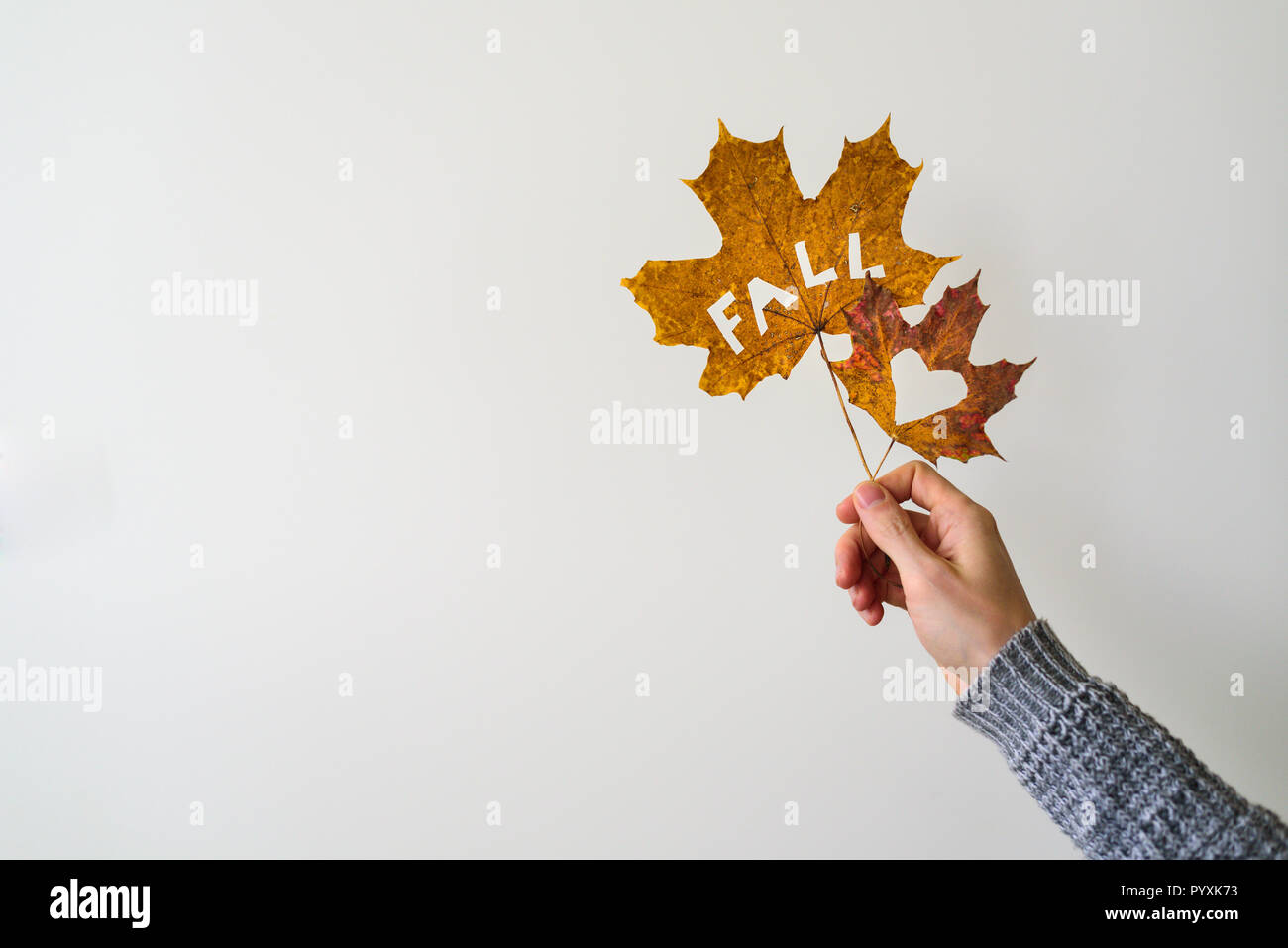 Man hand in knitted sweater holding maple leaf with cutted out word ...