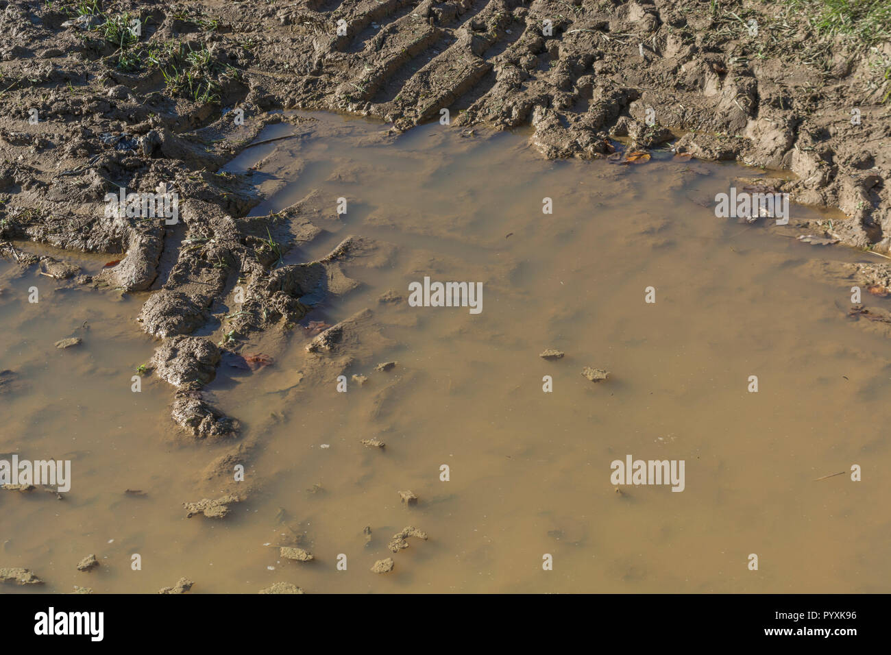 Heavy tractor tyre tracks in muddy water puddle hollow in agricultural ...