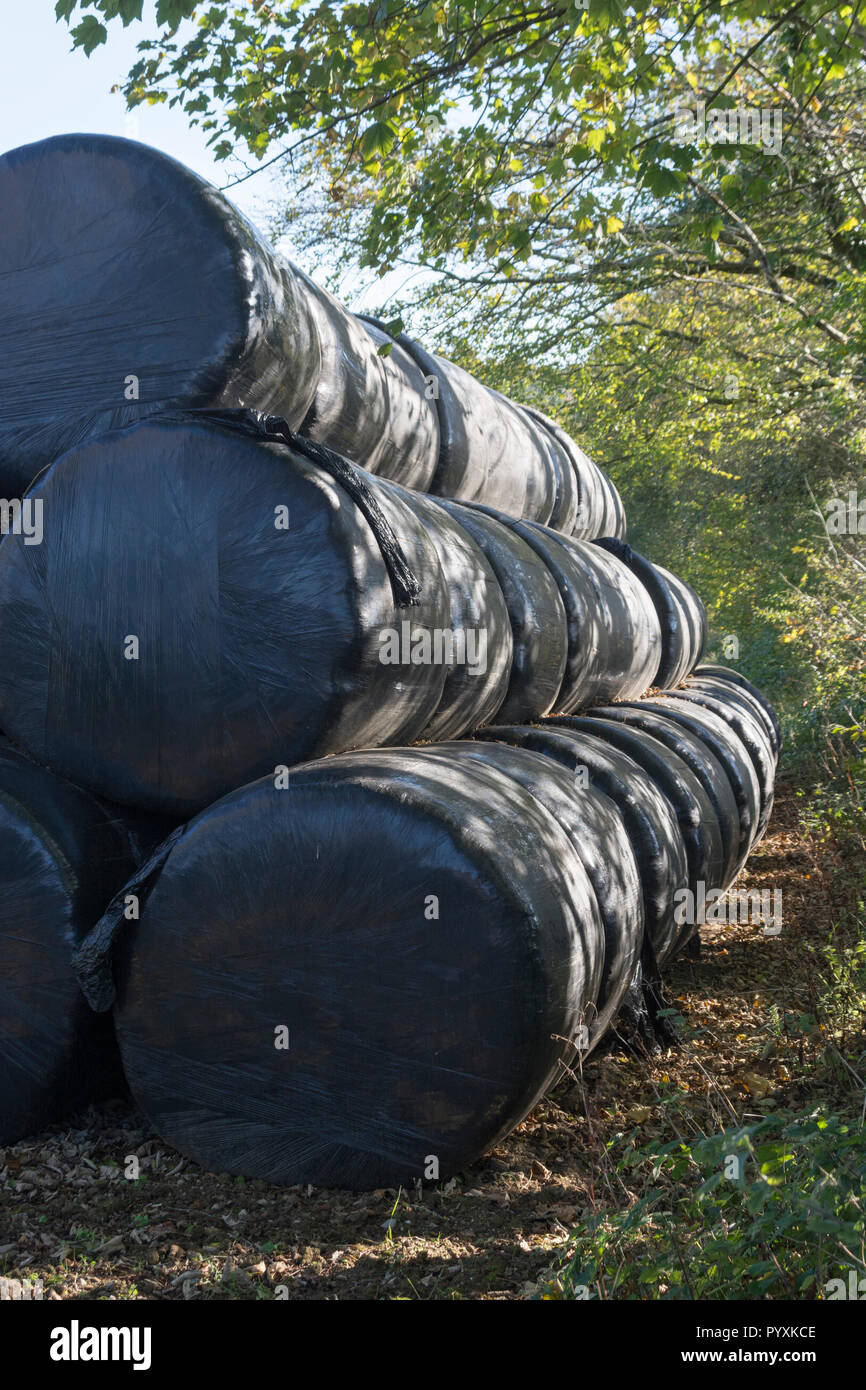 Black bales of silage hi-res stock photography and images - Alamy