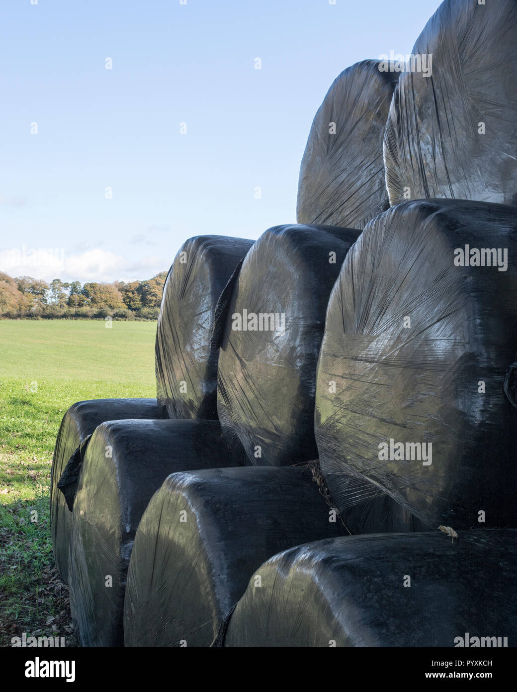 Forage bales hi-res stock photography and images - Alamy