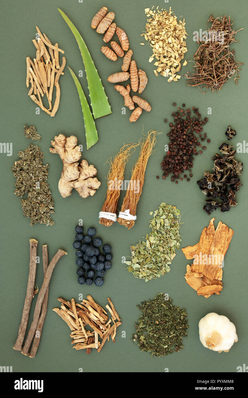 Restorative medicine hi-res stock photography and images - Alamy