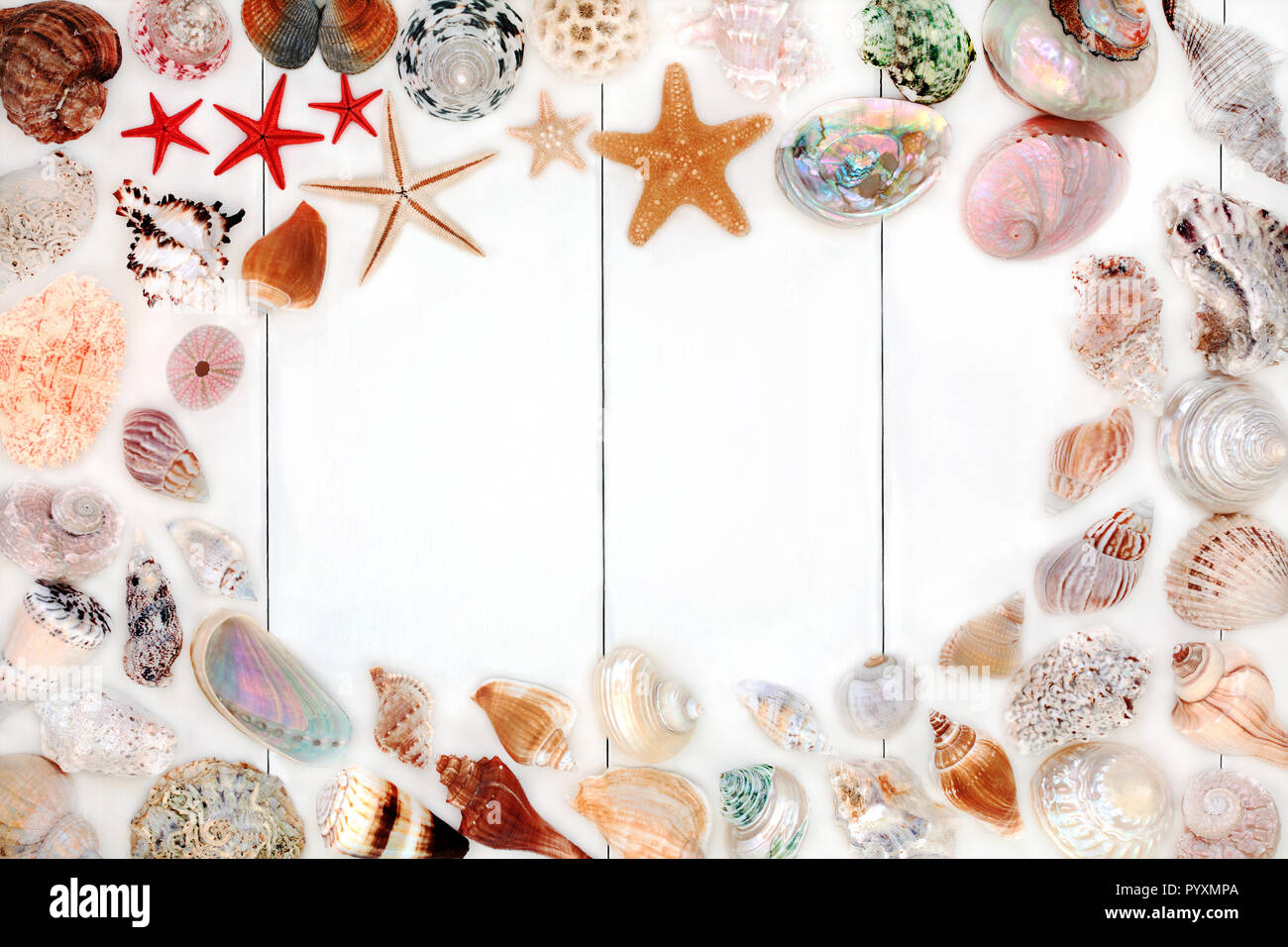 Seashell background border on rustic white wood. Top view Stock Photo ...