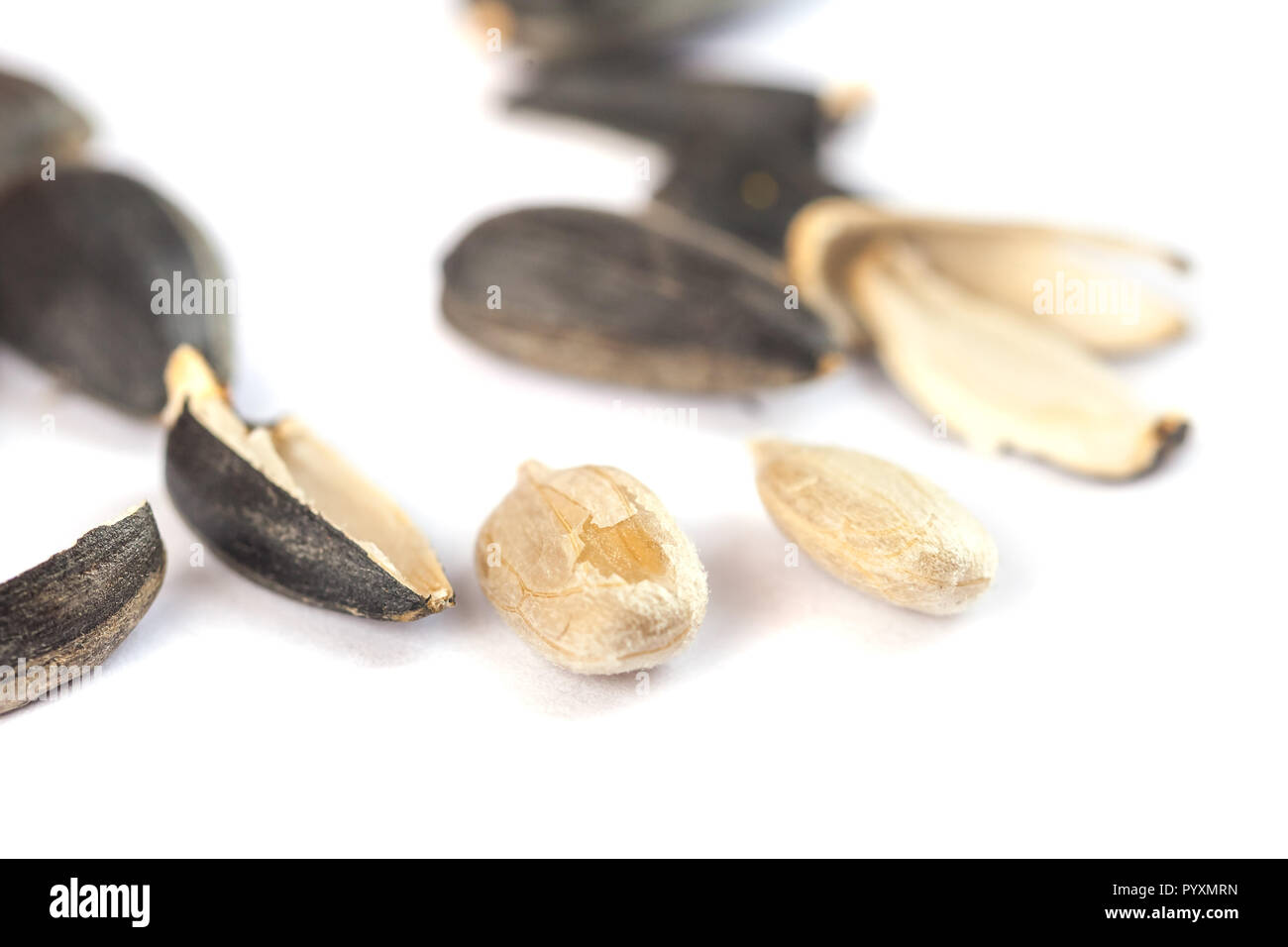 Sunflower seed open on white background, close up Stock Photo - Alamy